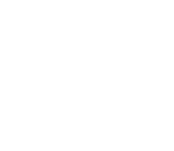 True Roots – Official Website